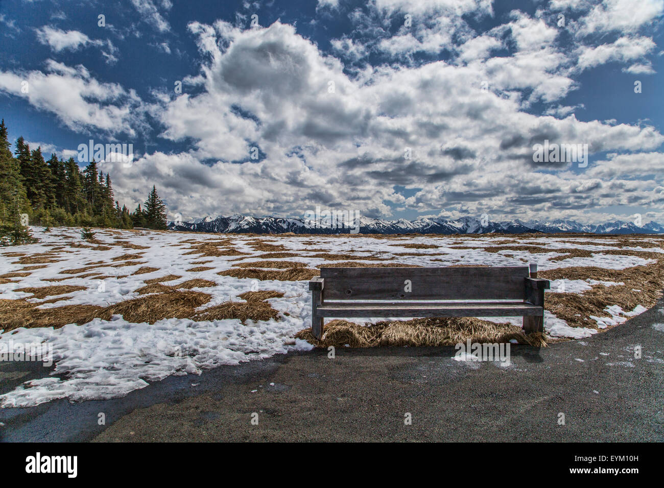 This is a photograph at Hurricane Ridge in the Olympic Mountains in ...