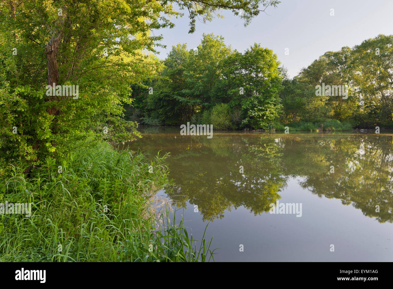 Fehring hi-res stock photography and images - Alamy