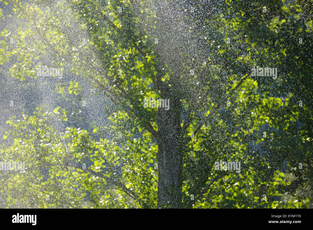 Summer, rains, Hafenlohr, Spessart, Bavaria, Germany Stock Photo - Alamy