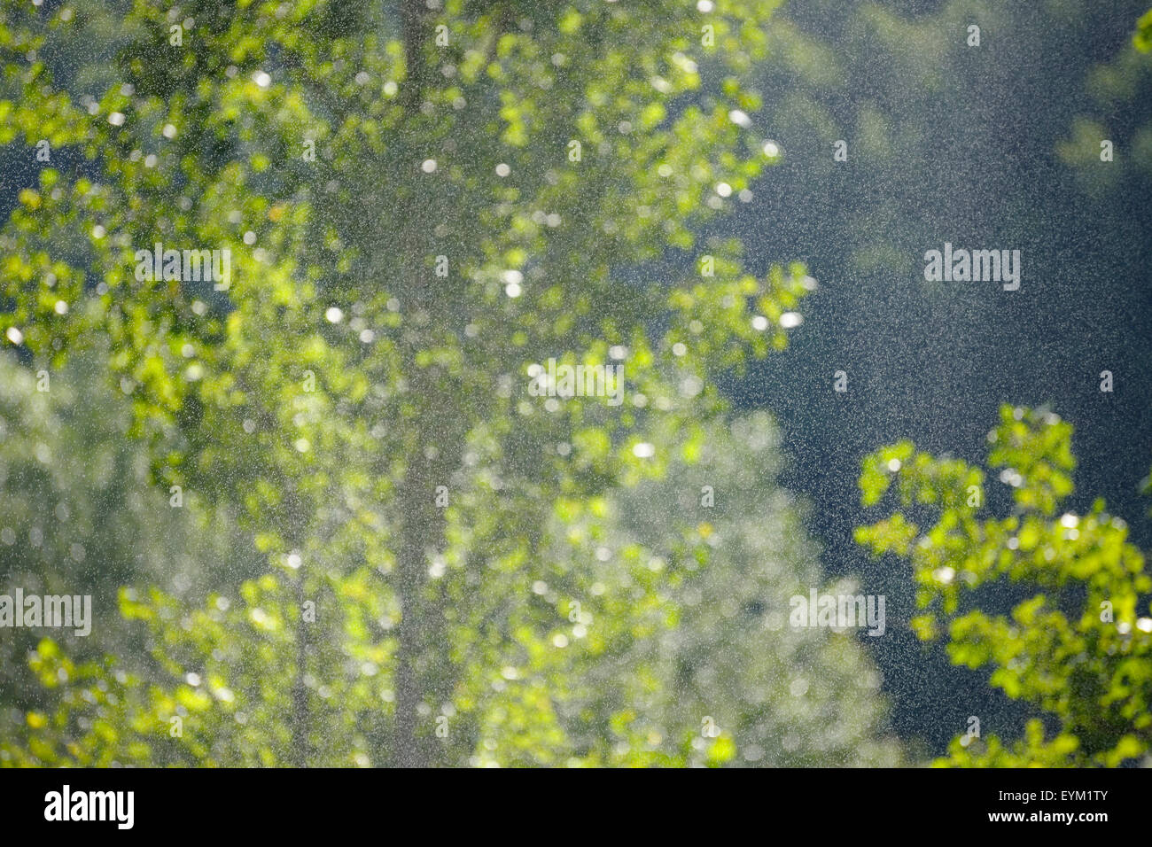 Summer, rains, Hafenlohr, Spessart, Bavaria, Germany Stock Photo - Alamy