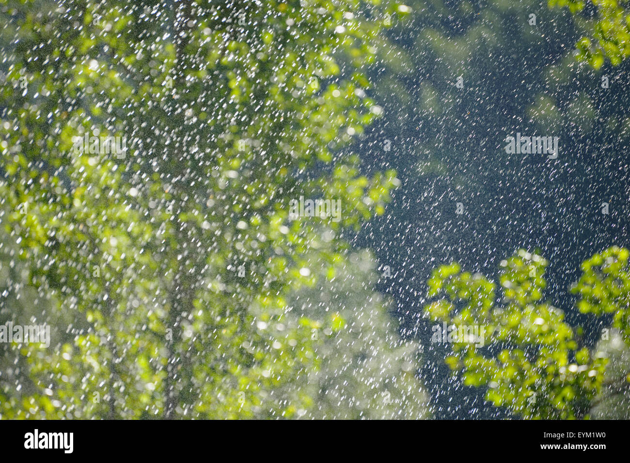Summer, rains, Hafenlohr, Spessart, Bavaria, Germany Stock Photo - Alamy