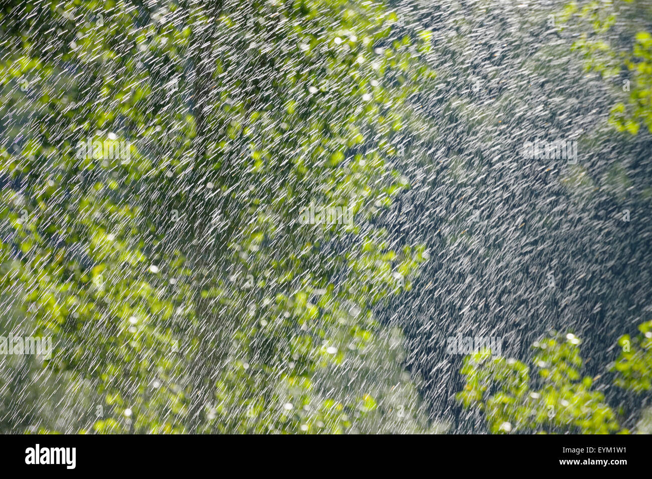 Summer, rains, Hafenlohr, Spessart, Bavaria, Germany Stock Photo - Alamy