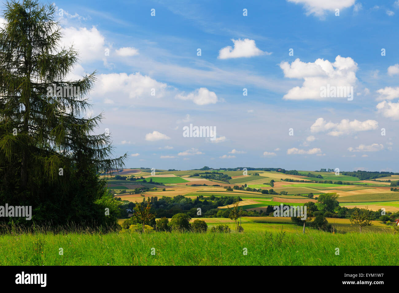 Home pflaum hi-res stock photography and images - Alamy