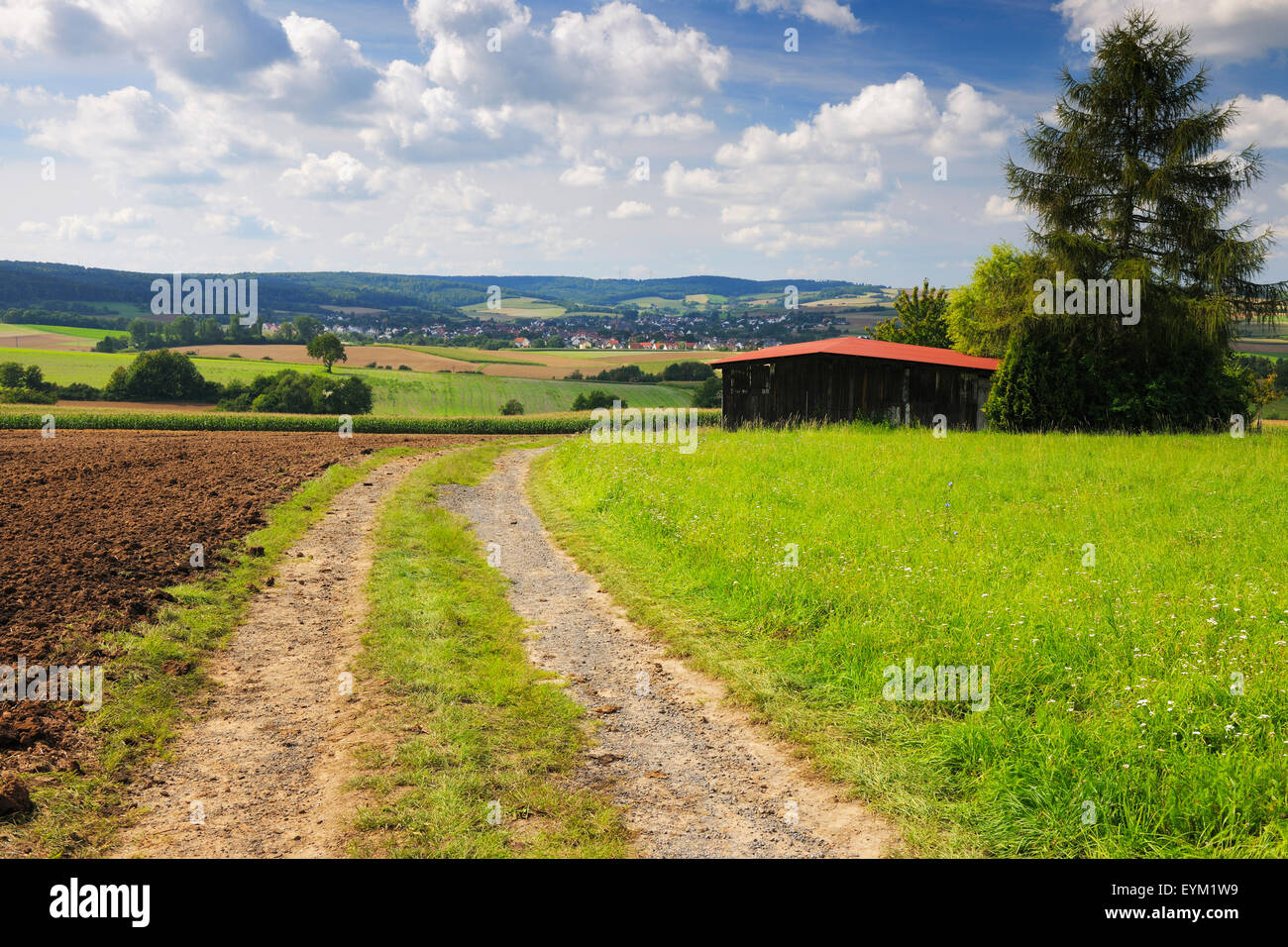 Home pflaum hi-res stock photography and images - Alamy
