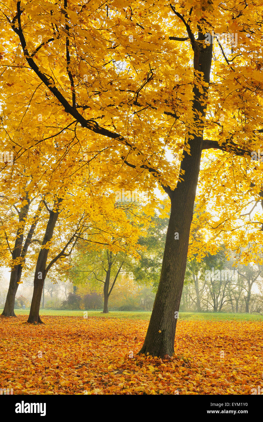 Nilk hi-res stock photography and images - Alamy