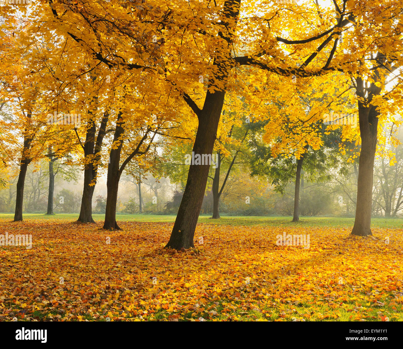 Nilk hi-res stock photography and images - Alamy