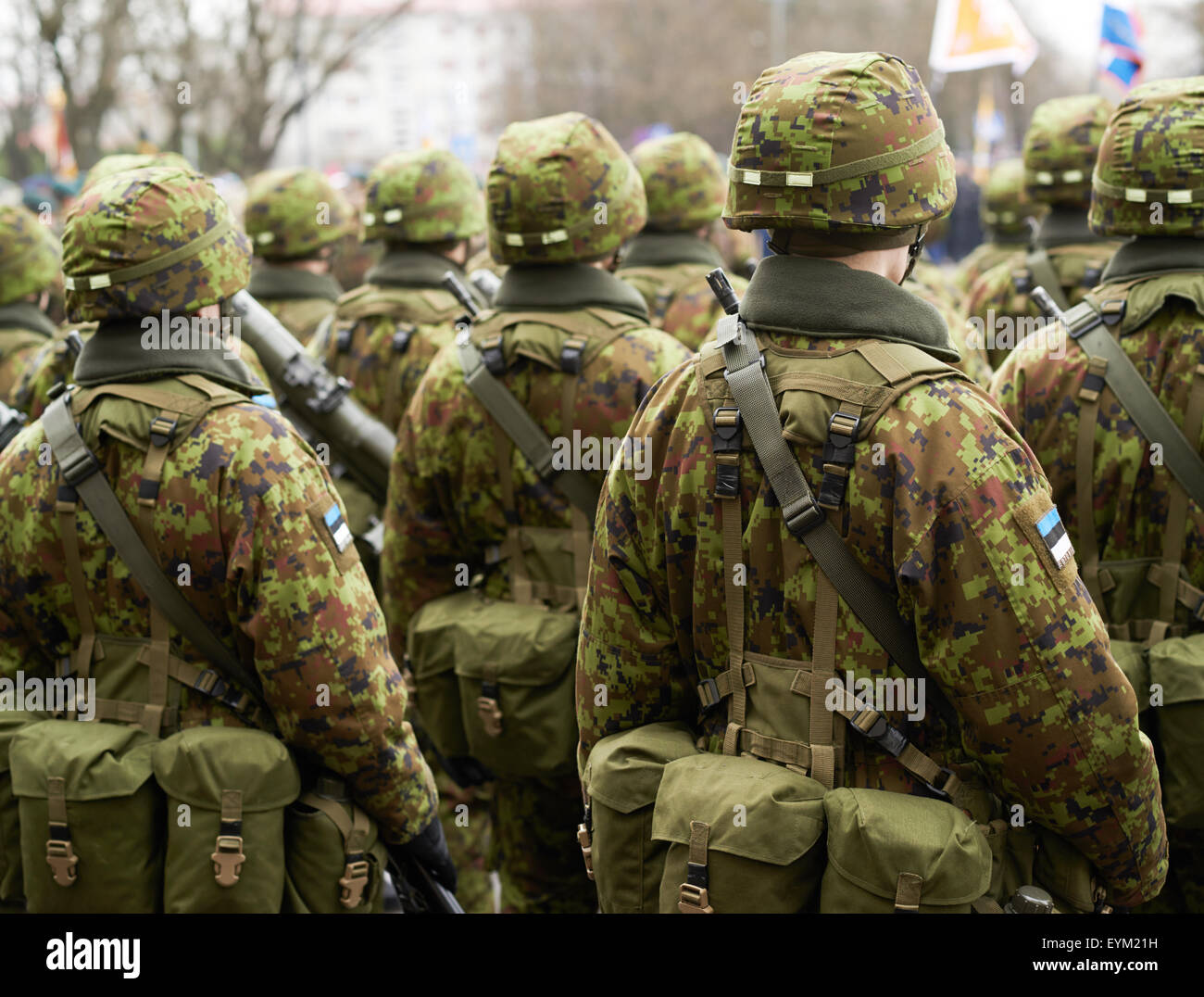 Lined up squad of Estonian soldiers Stock Photo - Alamy