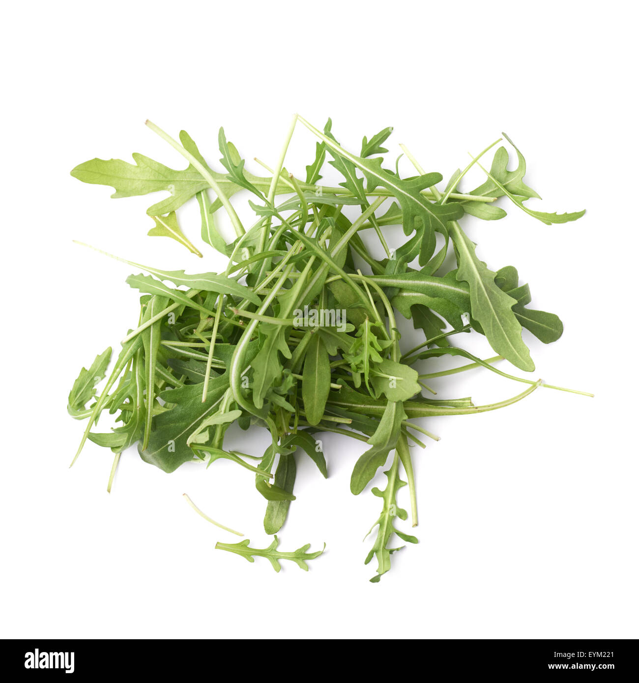 Eruca sativa rucola rocket salad Stock Photo - Alamy