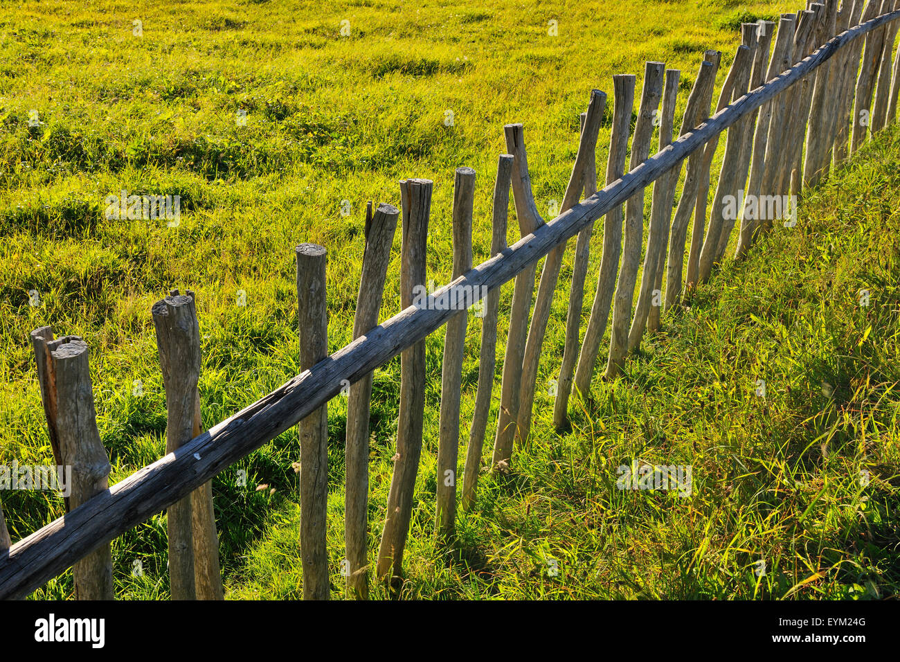 Fence, Gerold, Werdenfelser Land, Upper Bavaria, Bavaria, Germany Stock ...