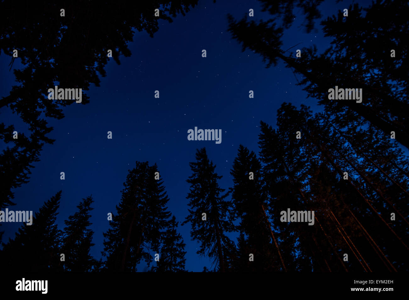 Night sky april hi-res stock photography and images - Alamy
