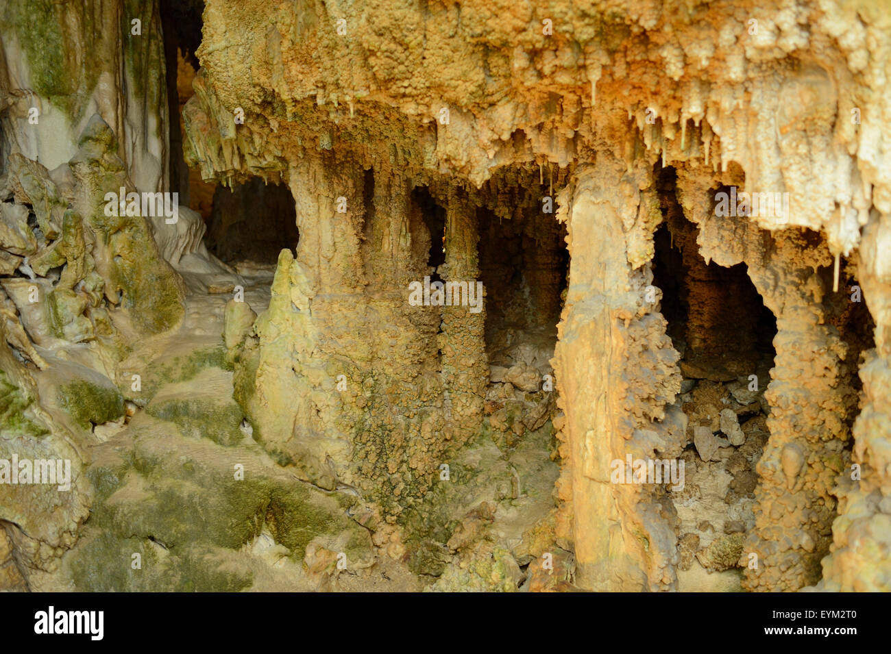 Otto cave hi-res stock photography and images - Alamy