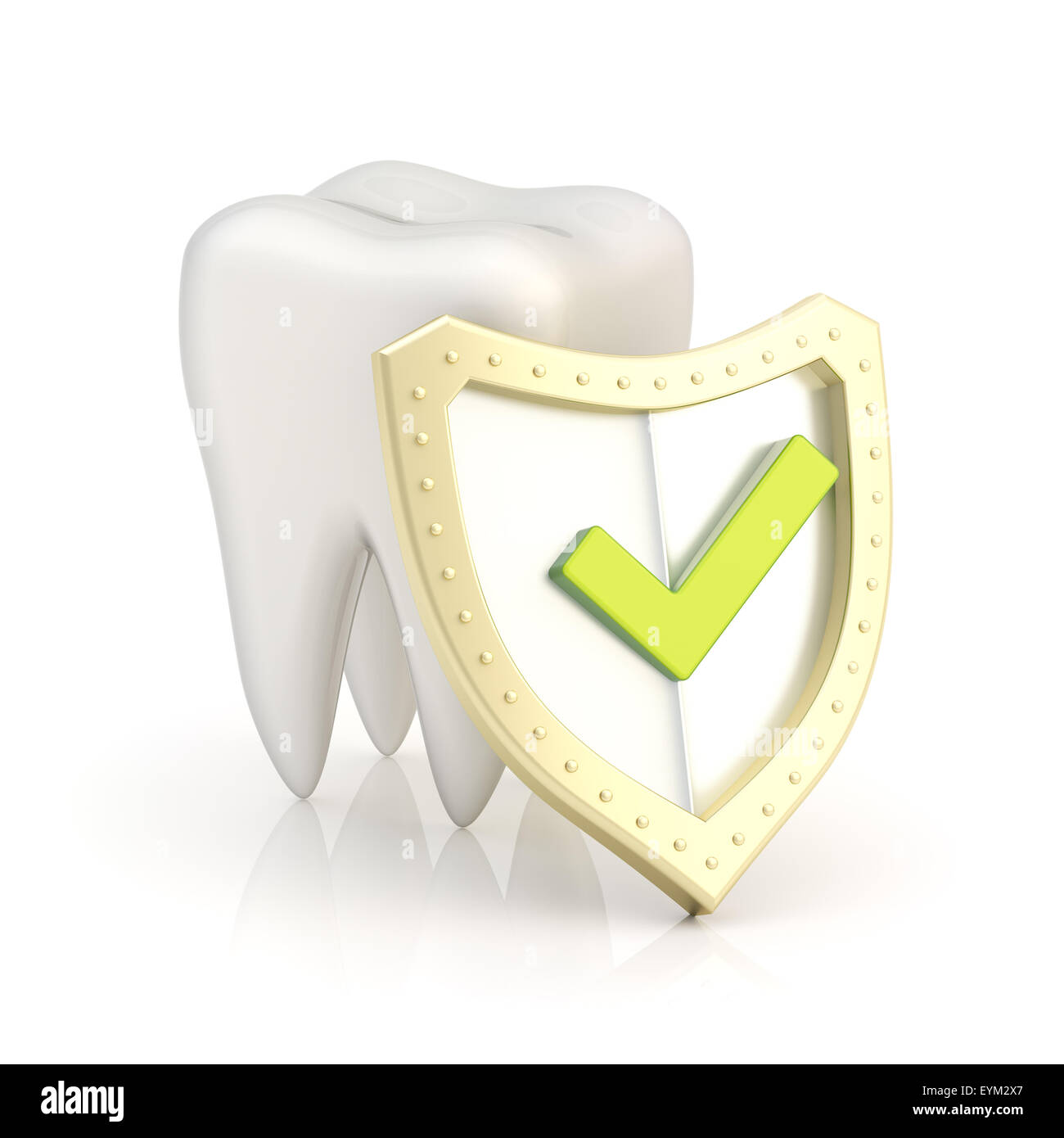 White tooth covered with the shield Stock Photo - Alamy