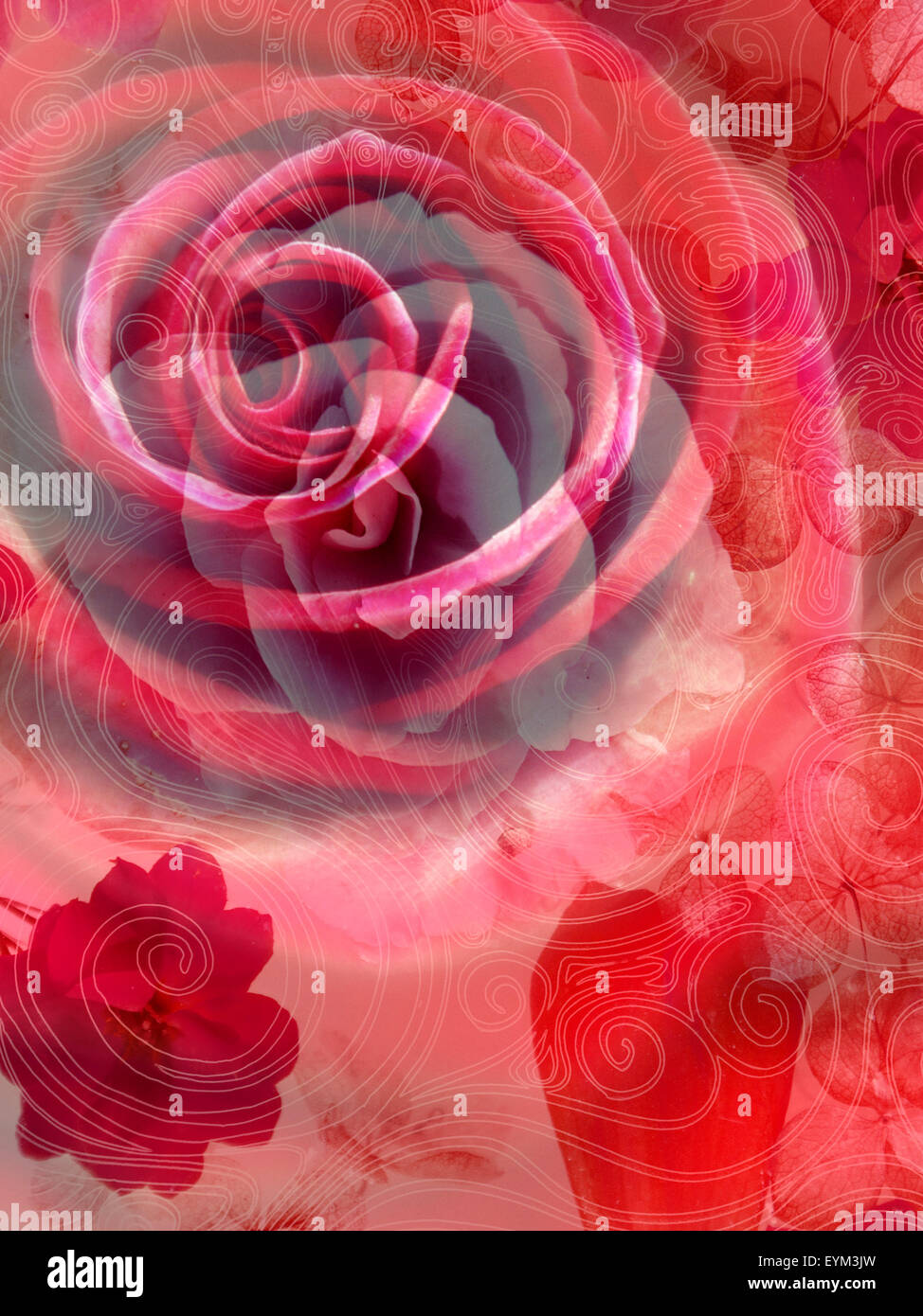 Floral overlays hi-res stock photography and images - Alamy