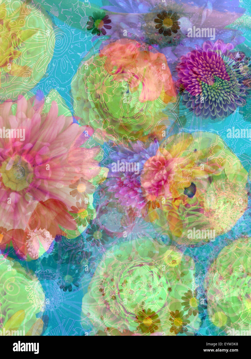 Composing of coloured flowers Stock Photo - Alamy