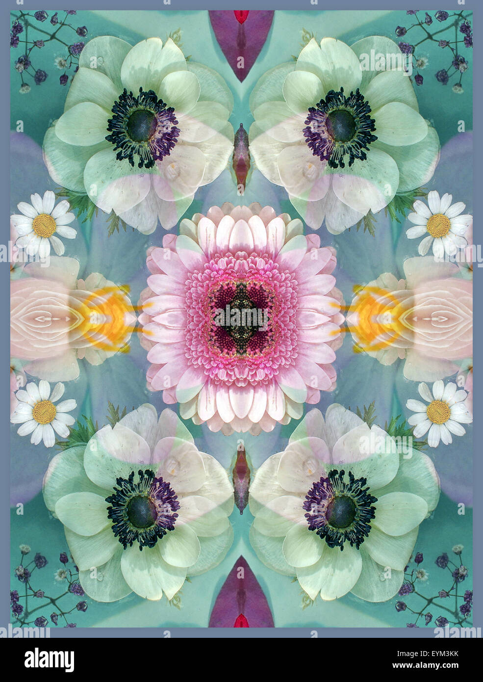 Composing, symmetrical arrangement of flowers in pastel shades Stock ...