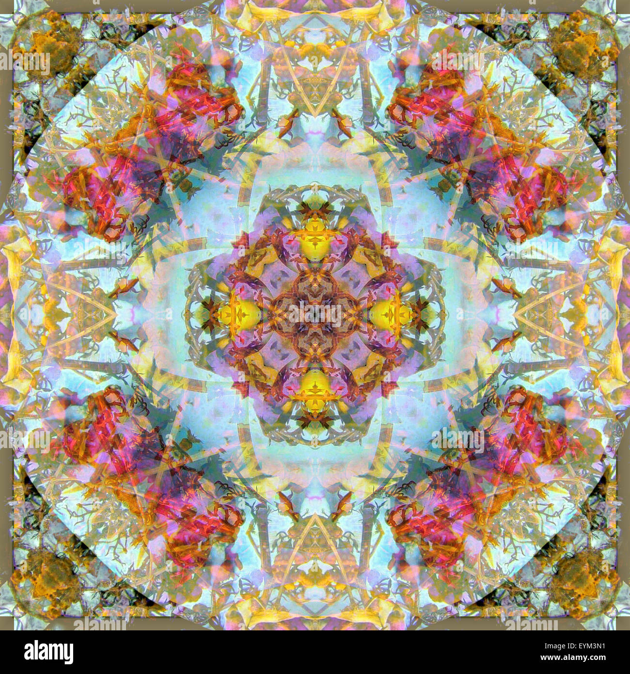 Mandala, symmetrical arrangement of natural materials Stock Photo - Alamy