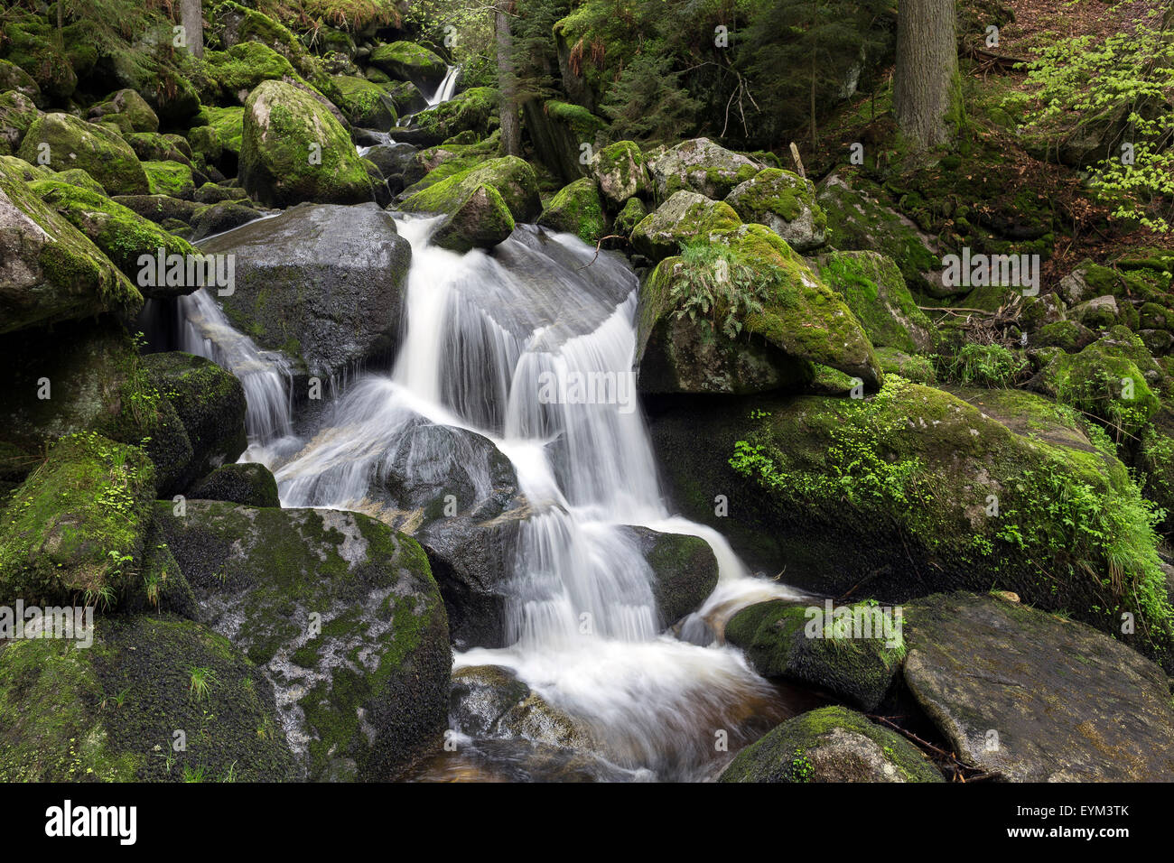 Of Triberger waterfalls, mountain Tri, Black Forest, Baden-Wurttemberg ...