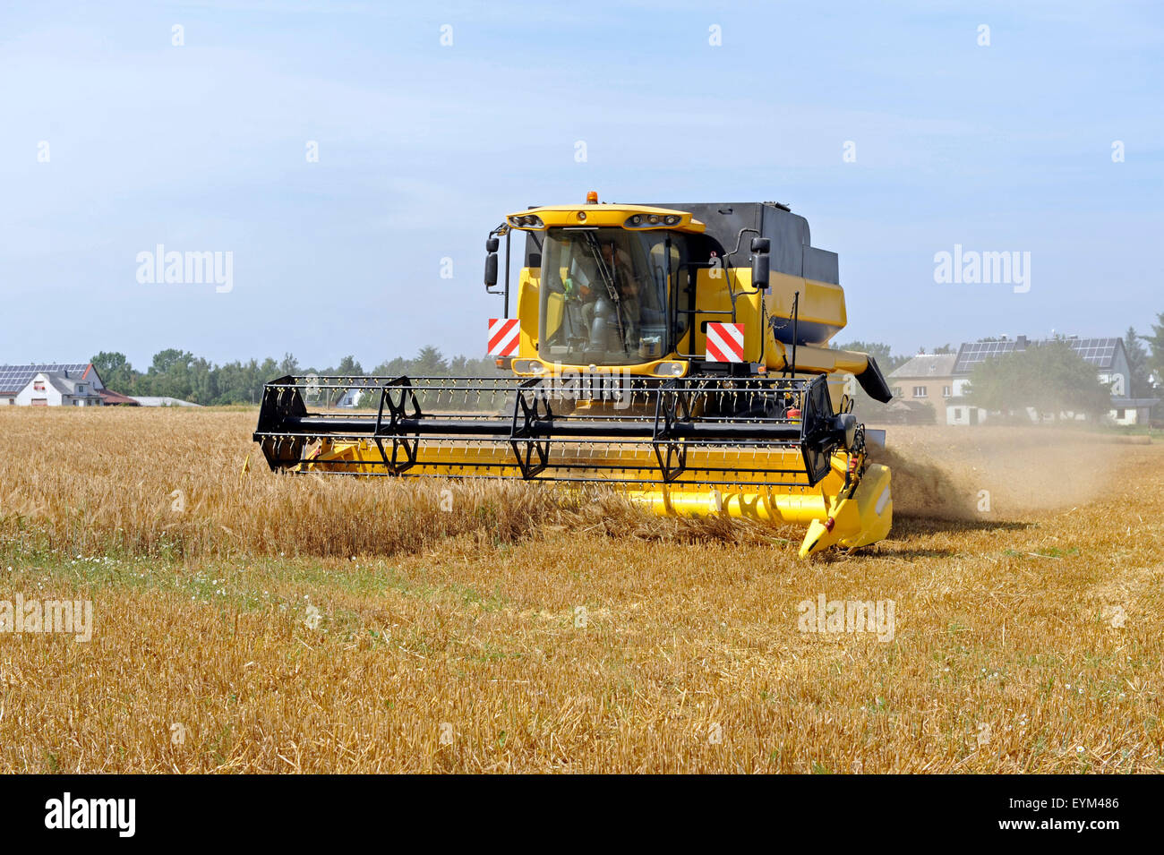Combine harvester with the grain harvest at barley field Stock Photo ...