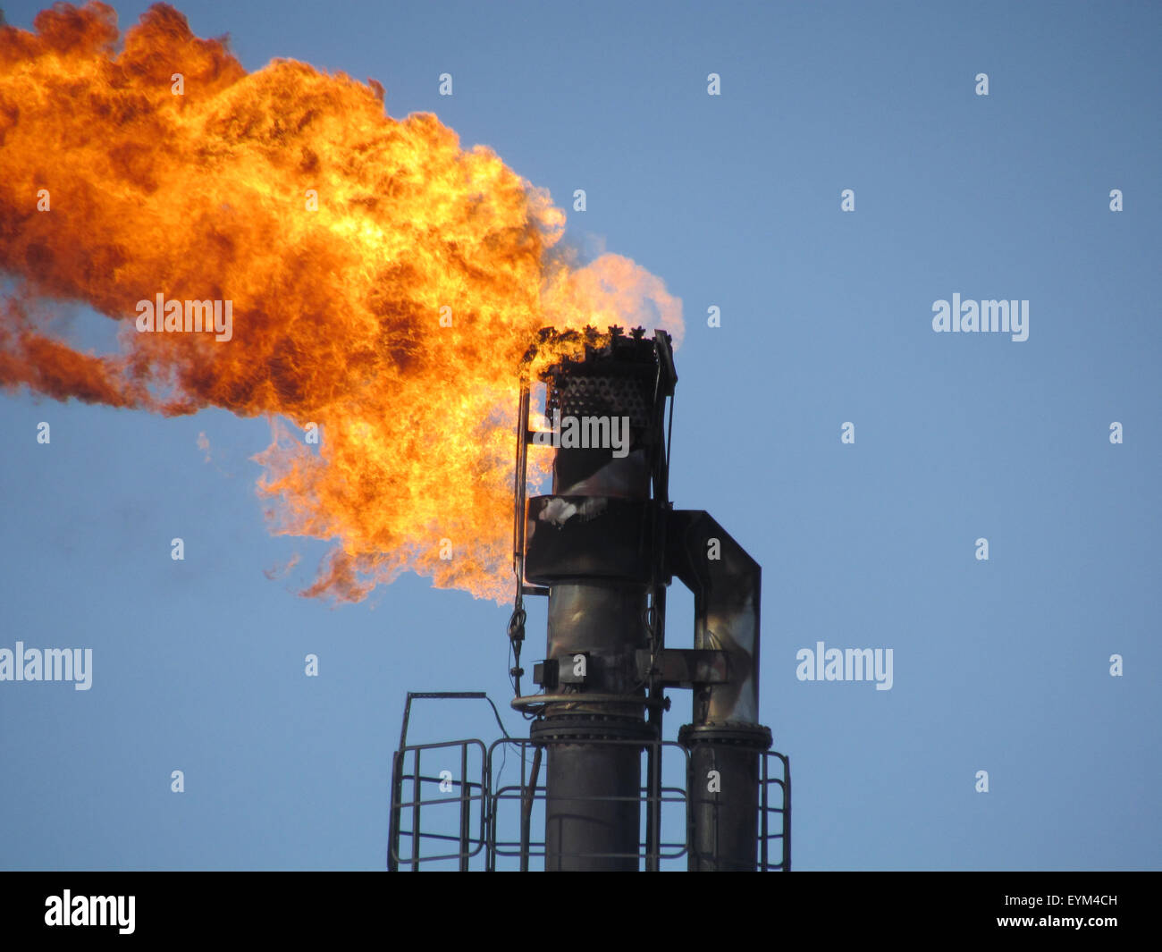 Burning torch plant processing hi-res stock photography and images - Alamy