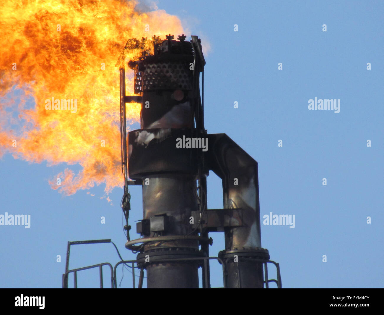 System of a torch on an oil field. Burning through a torch head Stock ...