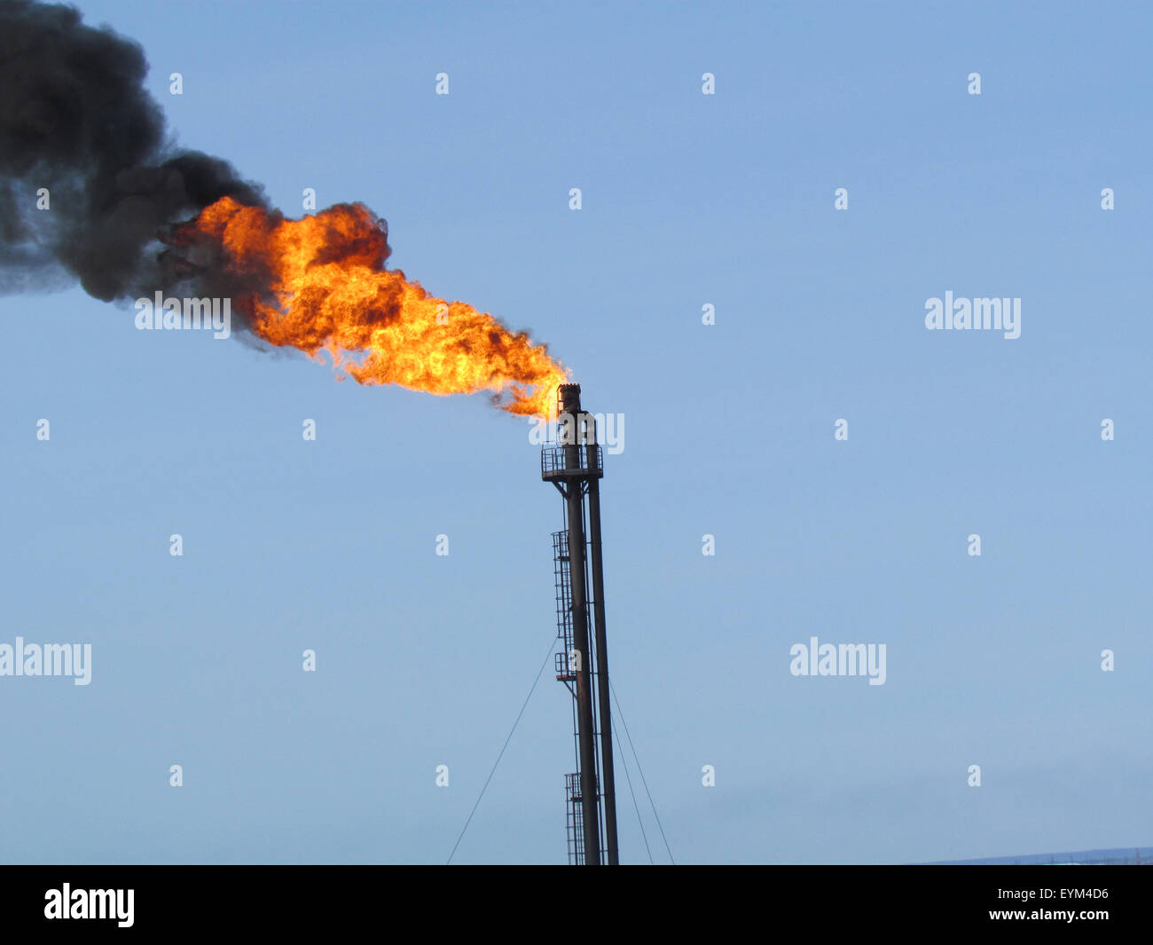 System of a torch on an oil field. Burning through a torch head Stock ...