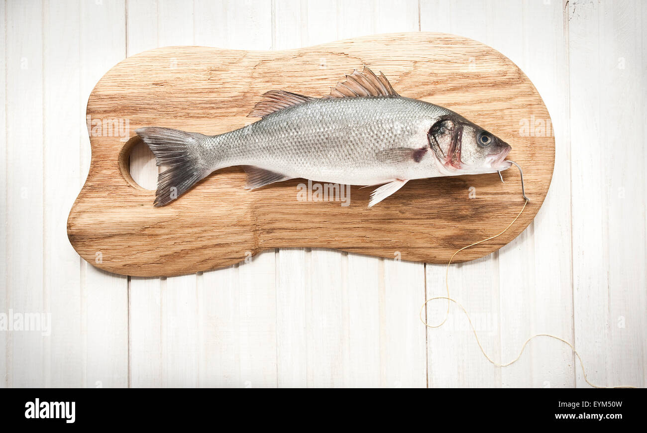 Animal preparation, fish, wolf perch, fishing, hook, wooden board, wall ...