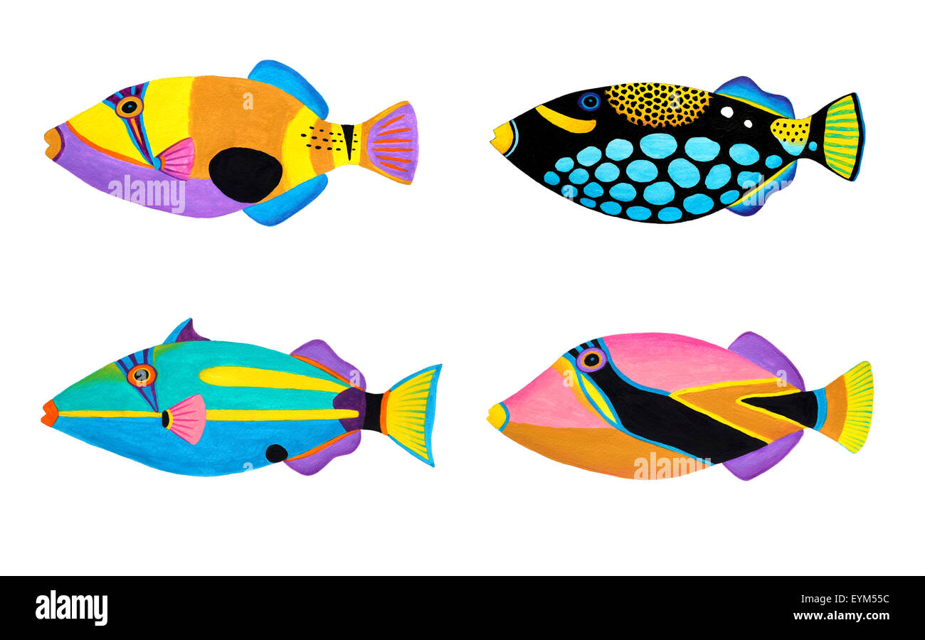 Collection of Triggerfish original acrylic Painting isolated on white ...