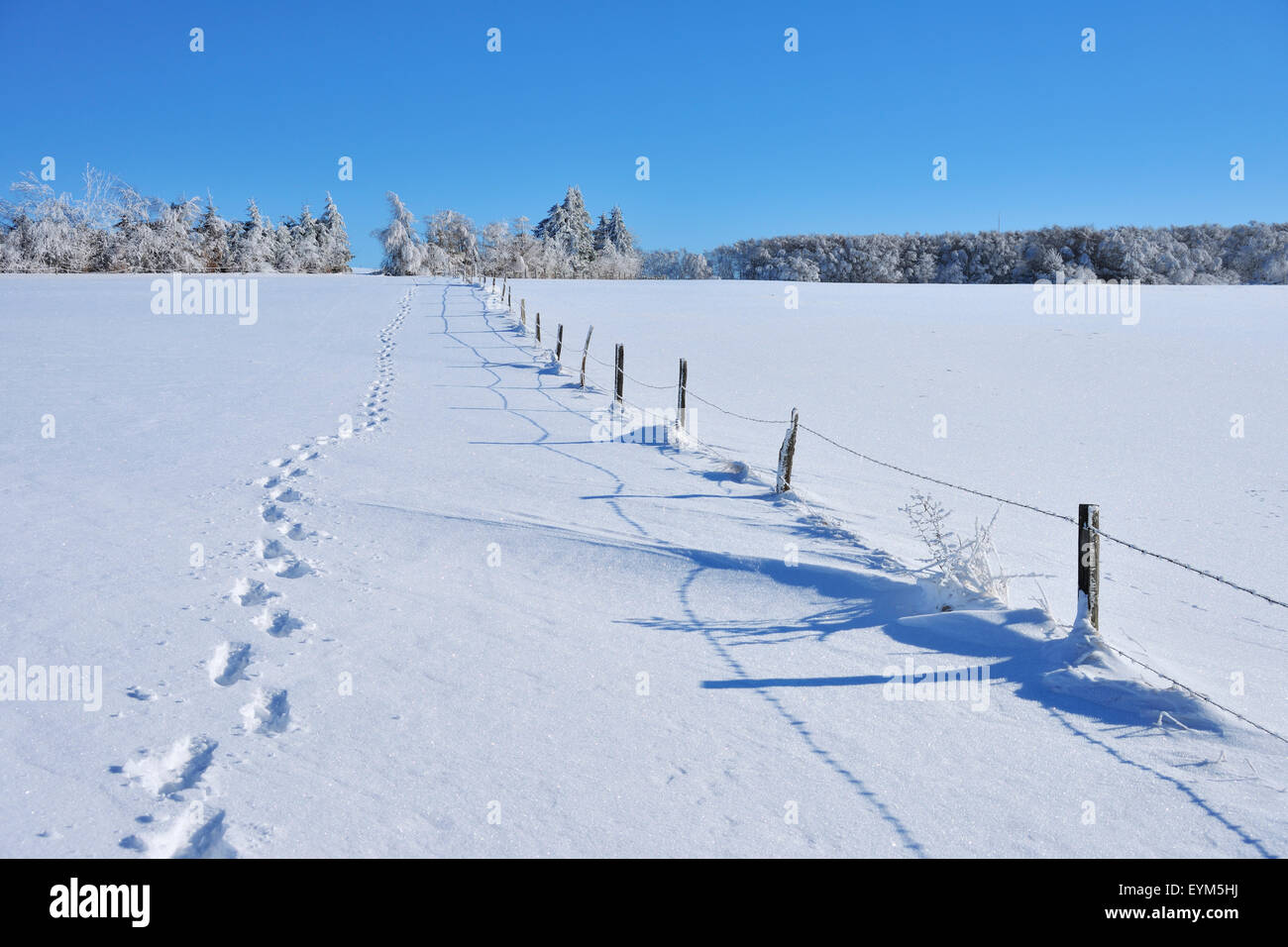 Low axes hi-res stock photography and images - Alamy