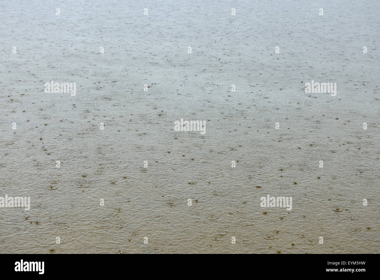 Water surface, rain, Bavaria, Germany Stock Photo - Alamy