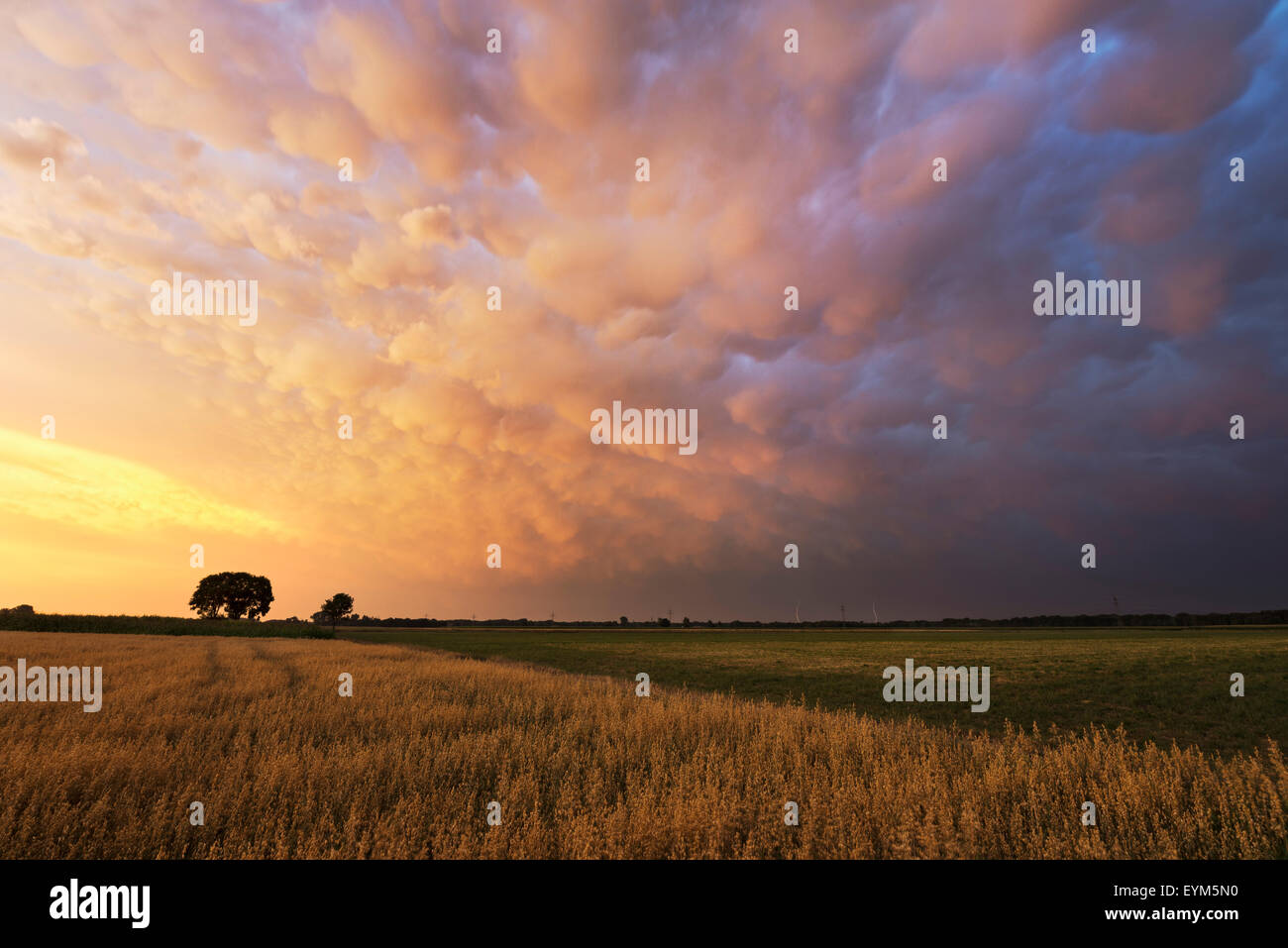 Clouds, Mammatus, storms, supercell, field, openly, freely ...
