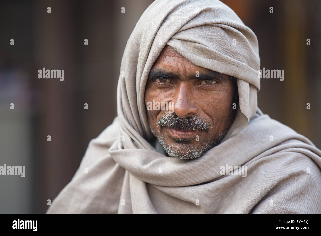 Local man looking in camera, Rajasthan, India Stock Photo - Alamy