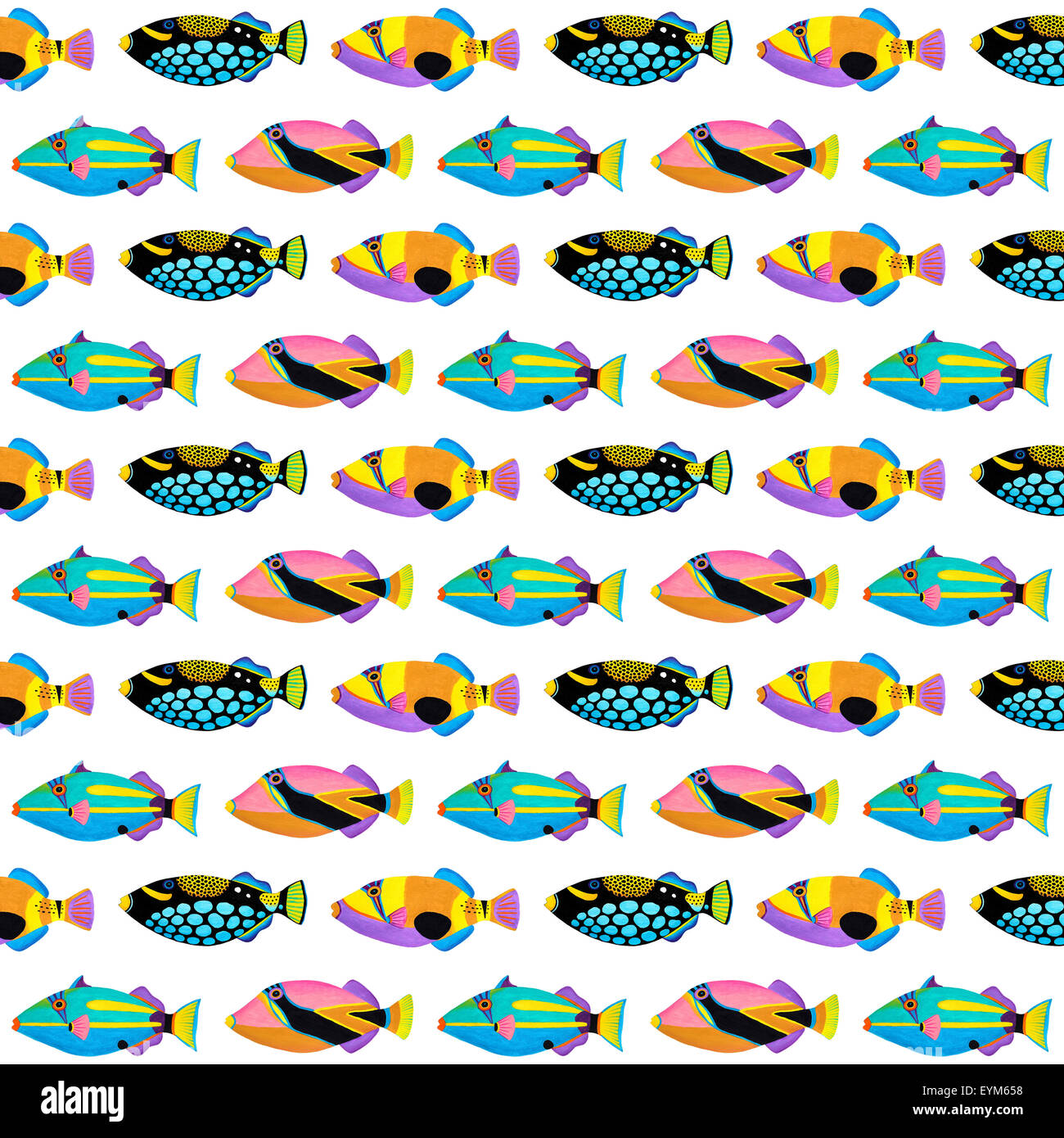 Acrylic painting Clown Triggerfish pattern isolated on white background ...