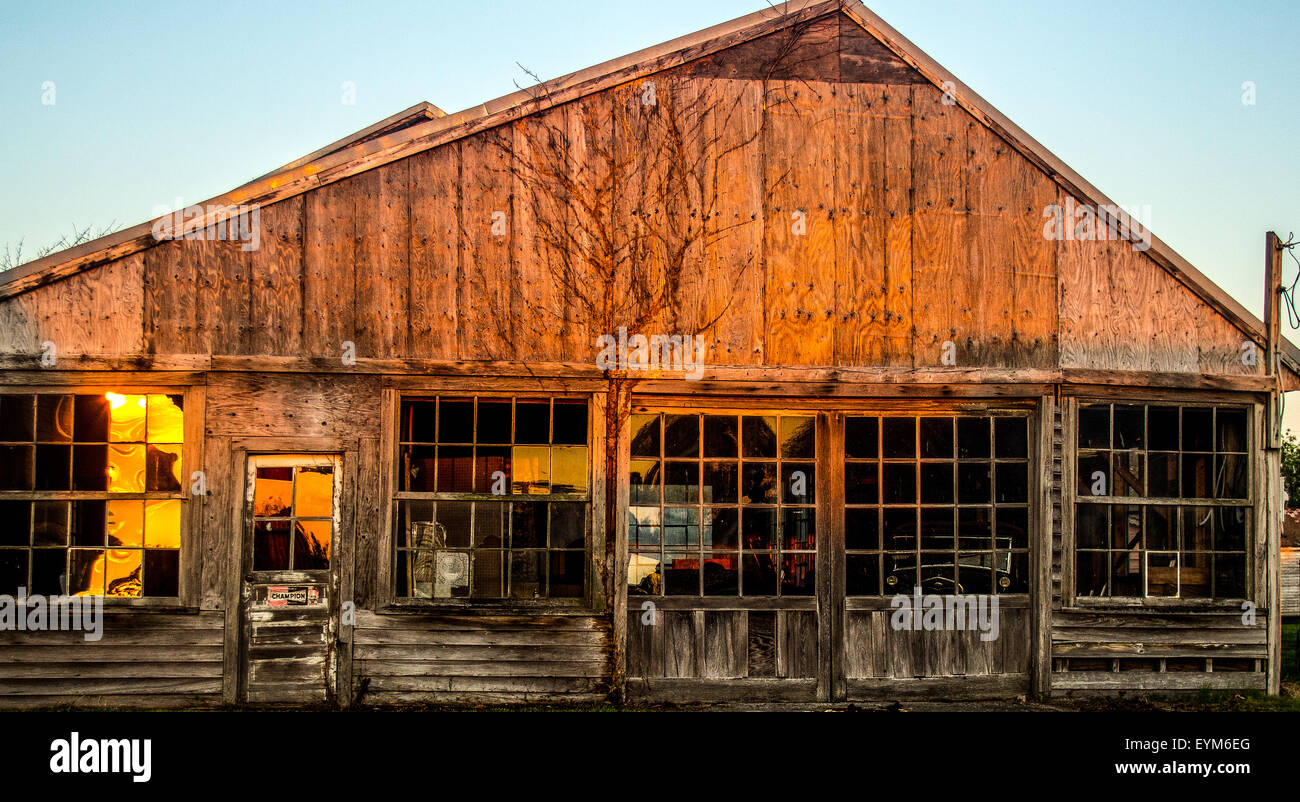 Vintage car from 1920's inside a weather worn, vine covered former auto ...