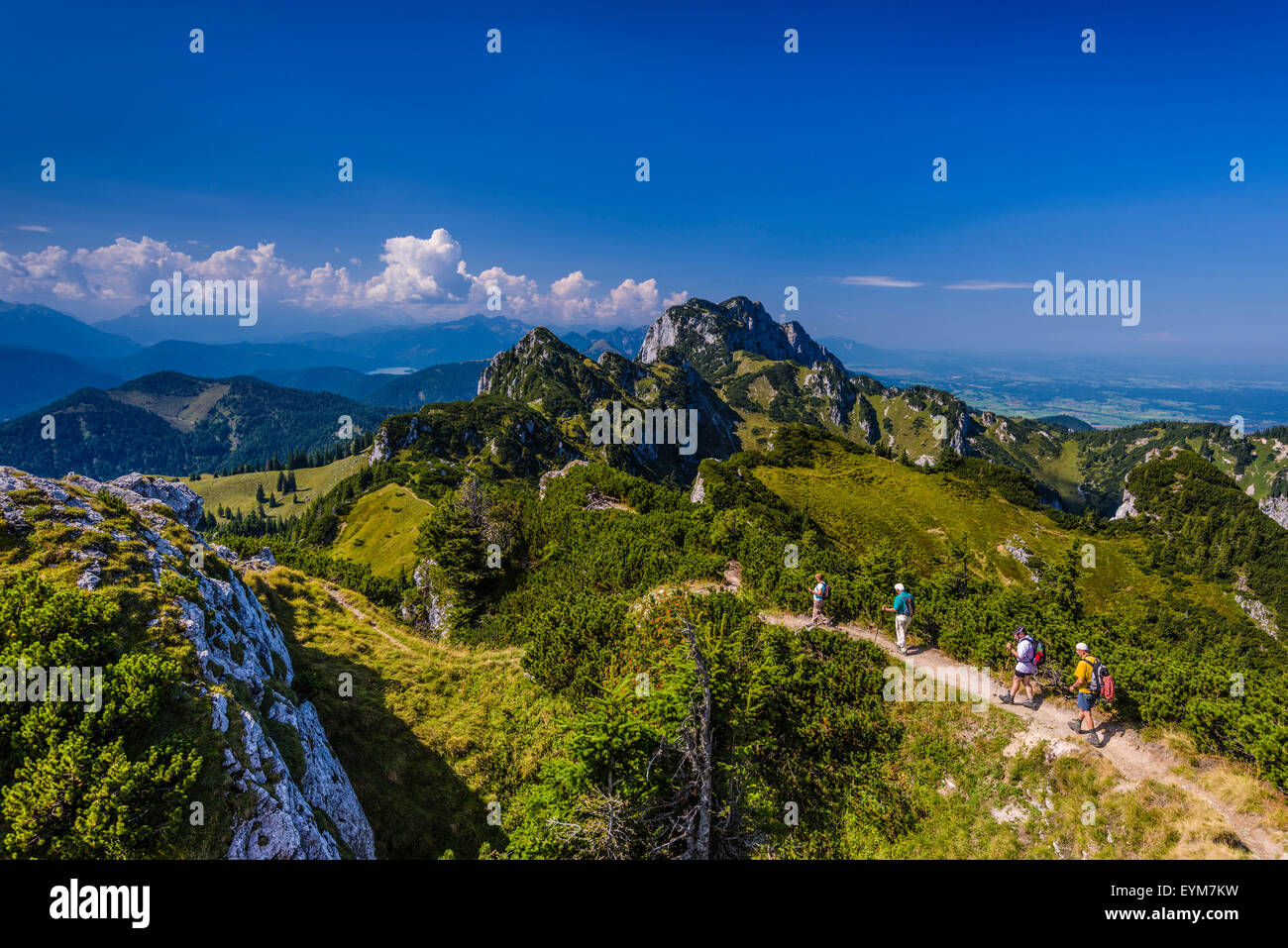 Germany, Bavaria, Upper Bavaria, Tölzer Land (area), Isarwinkel (region ...