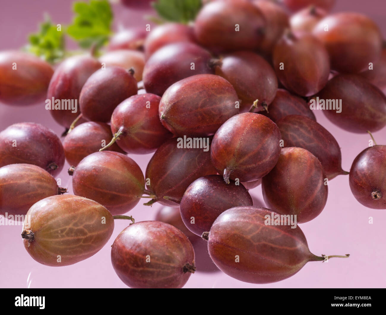 Family cluster hi-res stock photography and images - Alamy