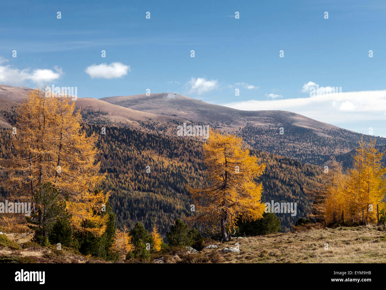 Herbst im Nationalpark Nockberge, Kärnten, Österreich, Falkert Stock ...