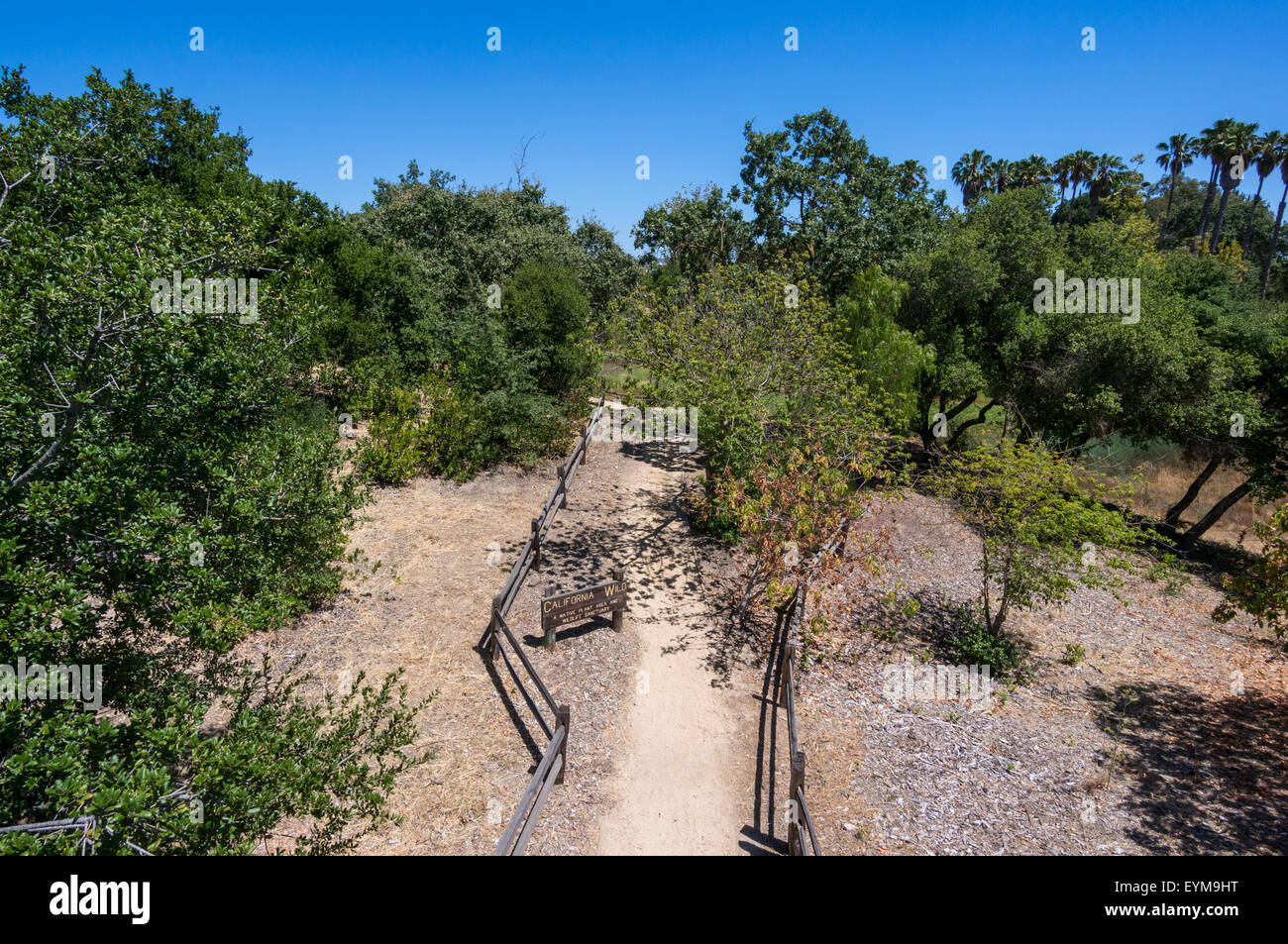 Native plant gardens hi-res stock photography and images - Alamy