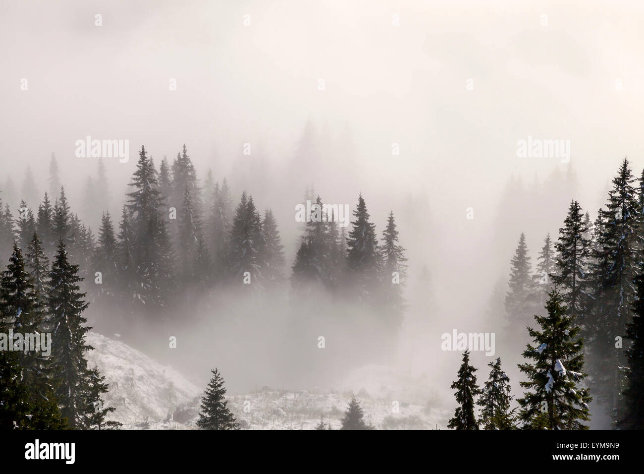 Nebel wolken hi-res stock photography and images - Alamy