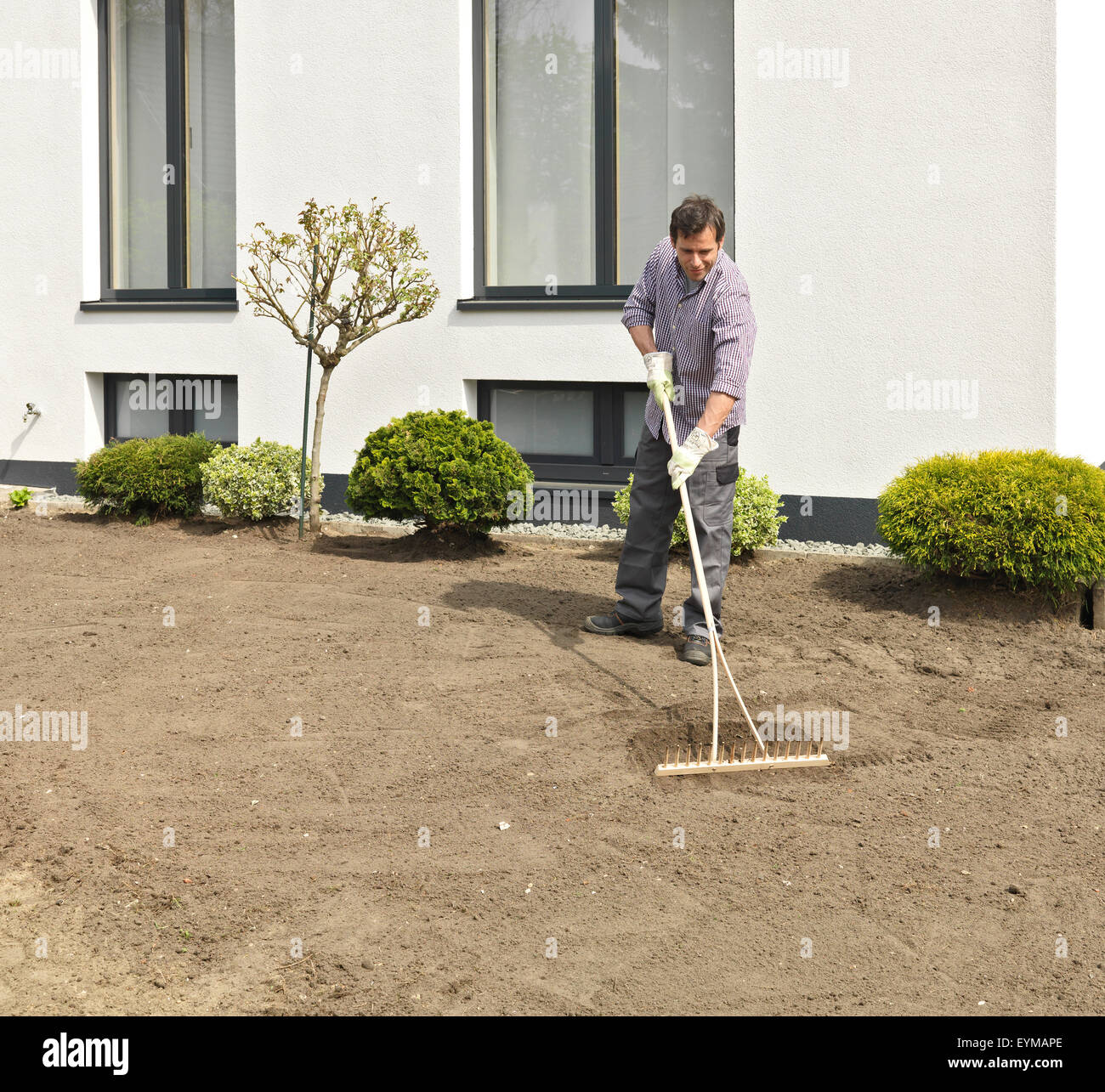 turf, lay, garden, man, rake, rake Stock Photo - Alamy