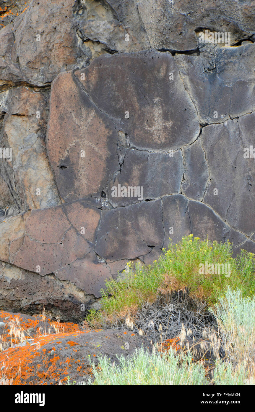 Petroglyphs, Abert Rim Wilderness Study Area, Lakeview District Bureau ...