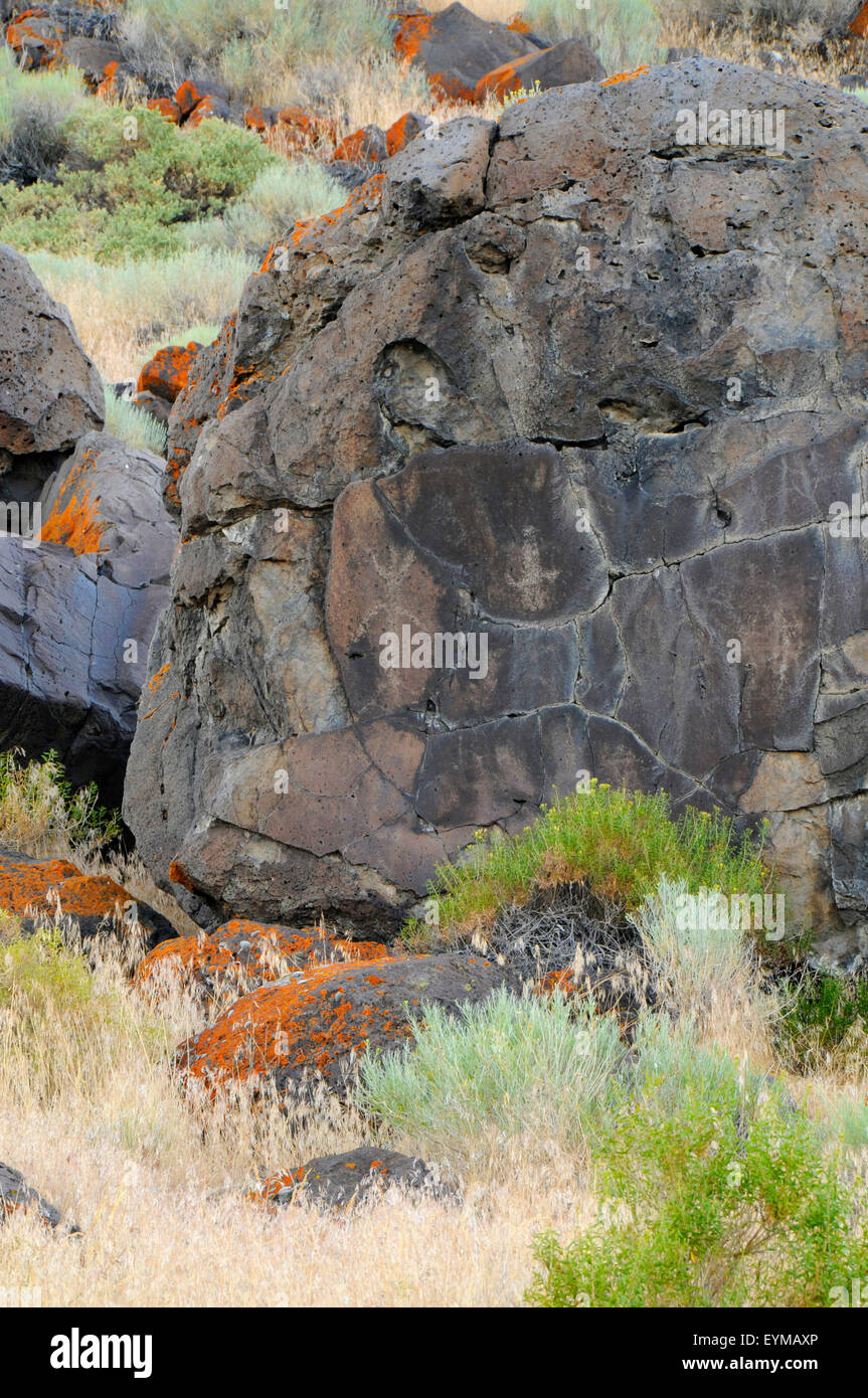 Petroglyphs, Abert Rim Wilderness Study Area, Lakeview District Bureau ...
