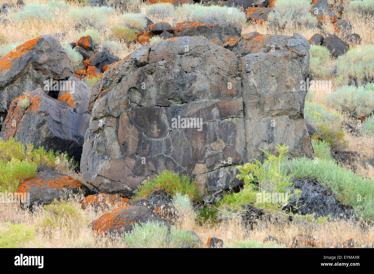 Petroglyphs, Abert Rim Wilderness Study Area, Lakeview District Bureau ...