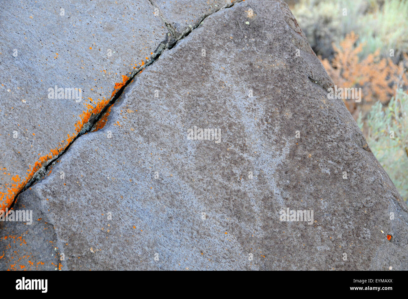 Petroglyphs, Abert Rim Wilderness Study Area, Lakeview District Bureau ...