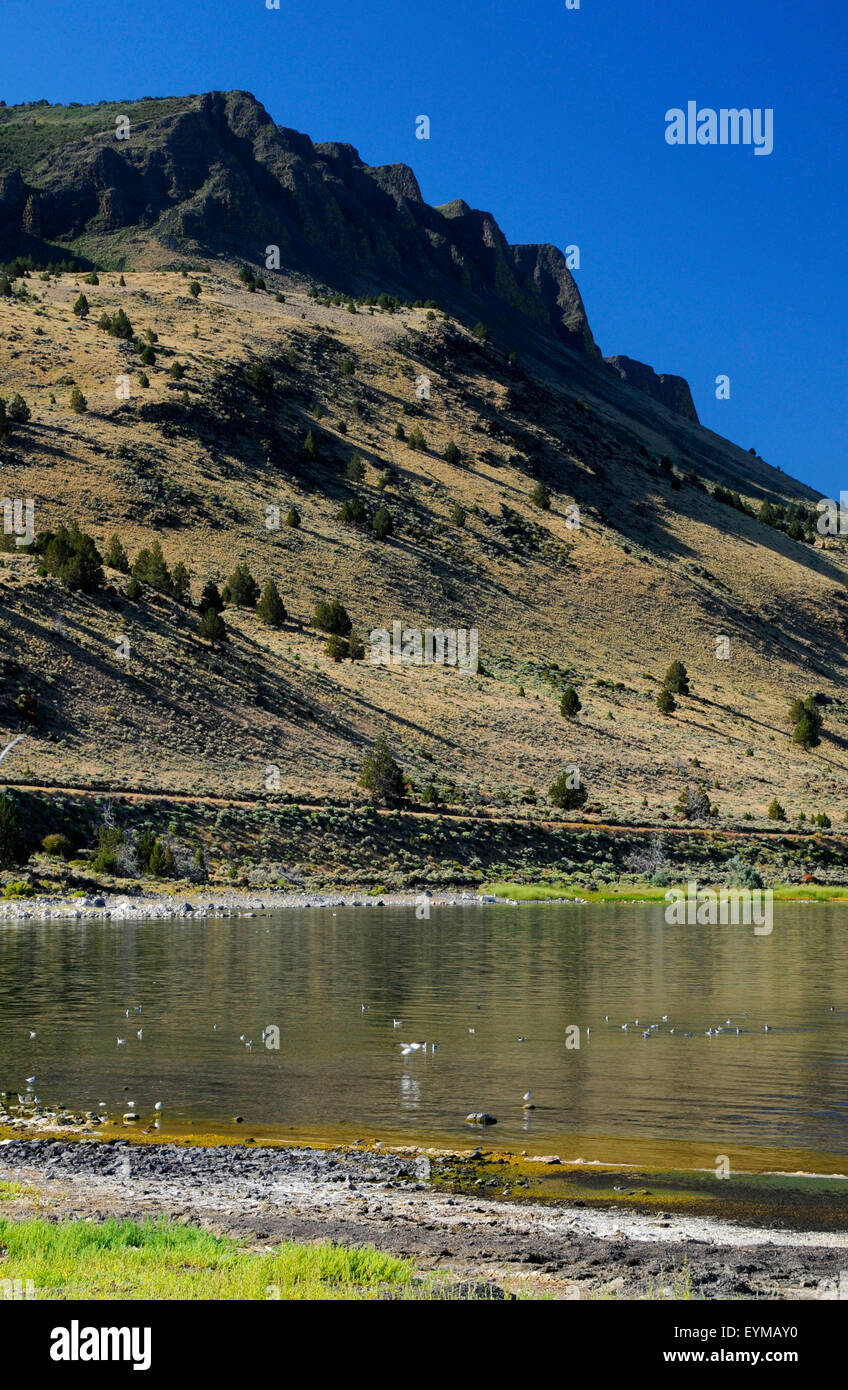 Lake abert and abert rim hi-res stock photography and images - Alamy