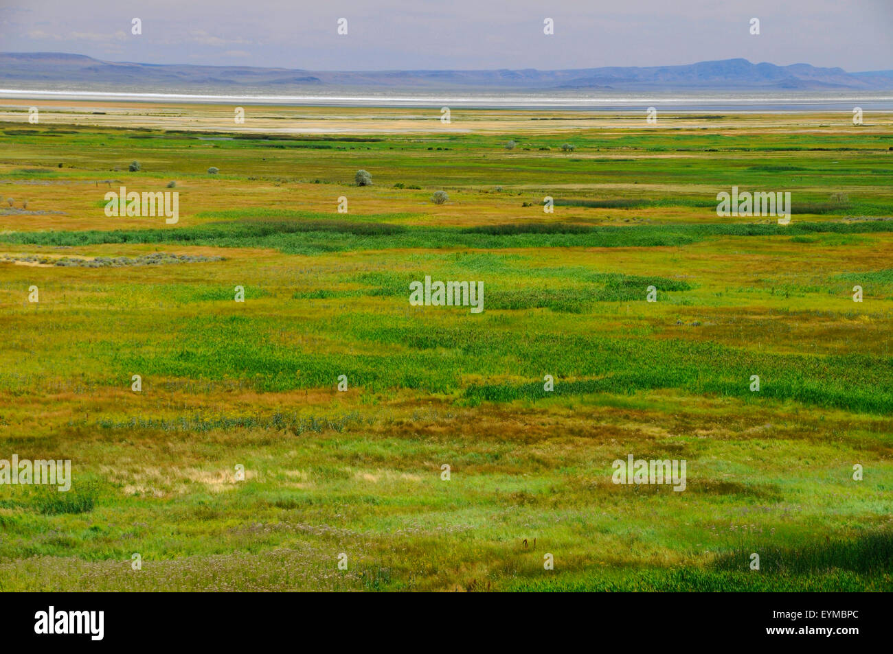 Summer Lake basin, Oregon Outback Scenic Byway, Lake County, Oregon ...