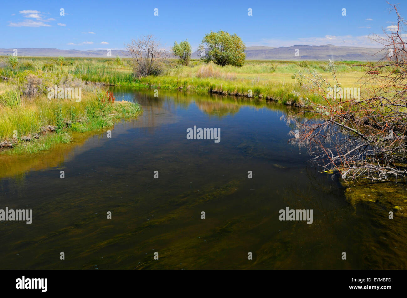 Ana river summer lake wildlife hi-res stock photography and images - Alamy