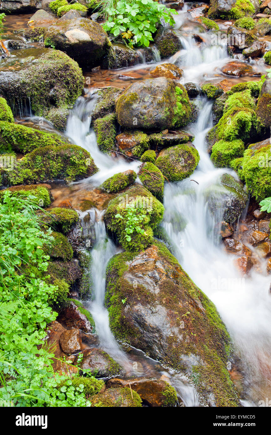 Moosy stones hi-res stock photography and images - Alamy