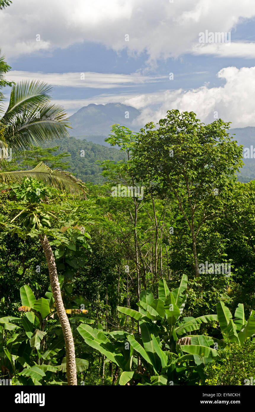 Java region hi-res stock photography and images - Alamy