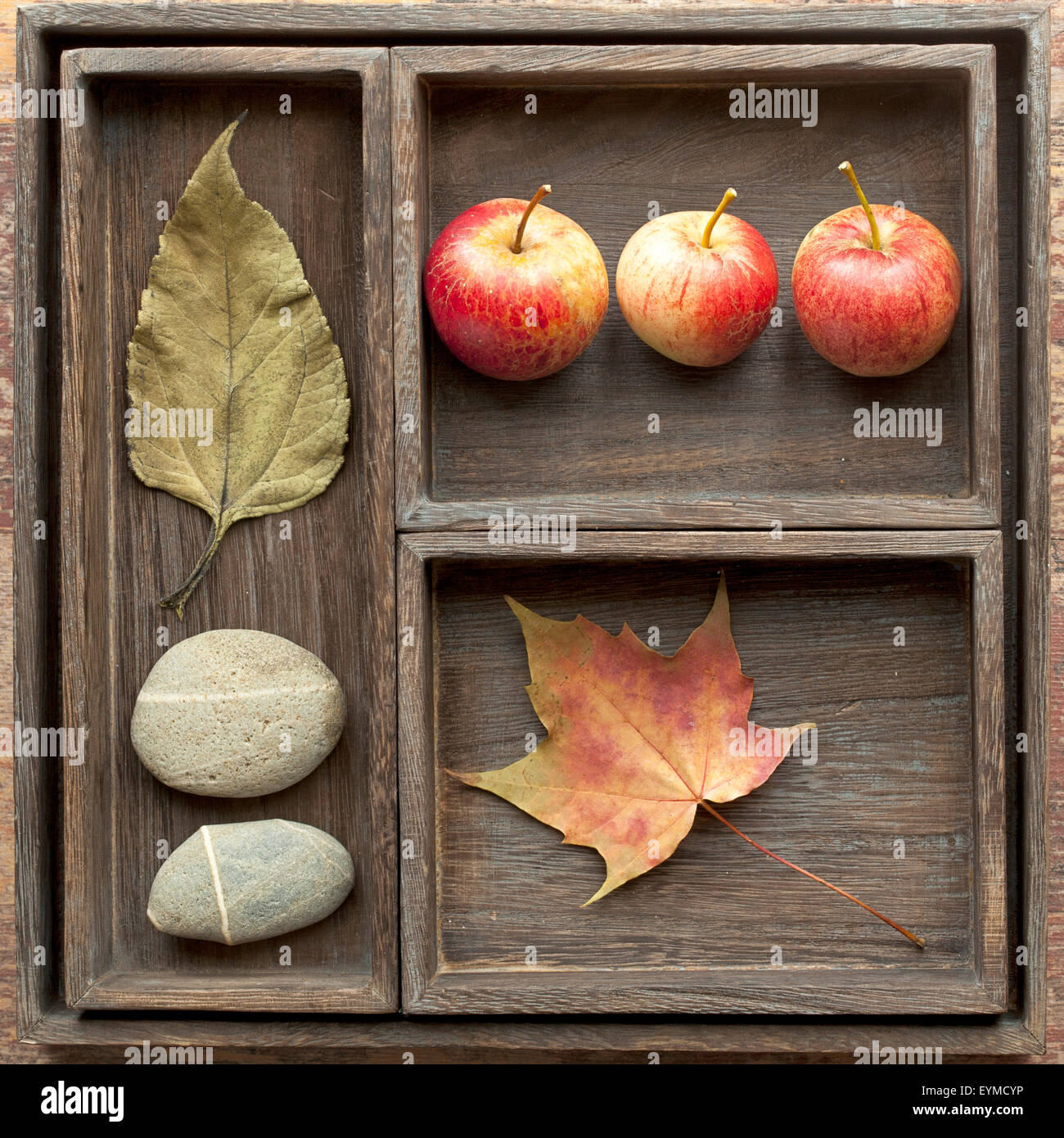 Natural elements hi-res stock photography and images - Alamy