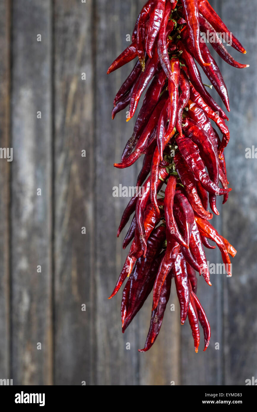 Dry chilli pods hang before blurred background Stock Photo - Alamy